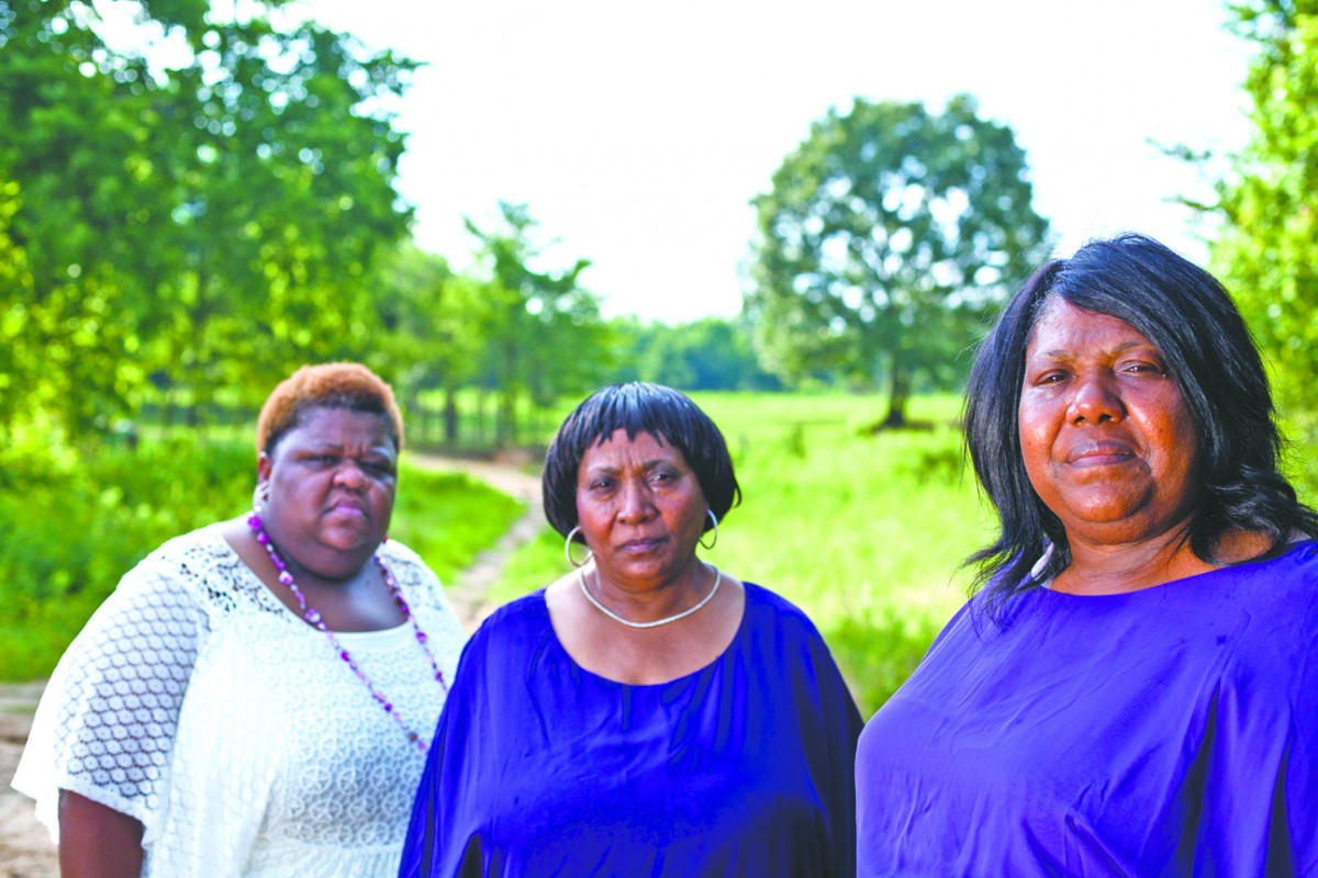 Joyful Noise | The Panolian