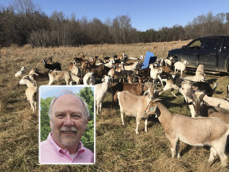 BCC to host Farm show with Kiko (meat) goats | The Panolian