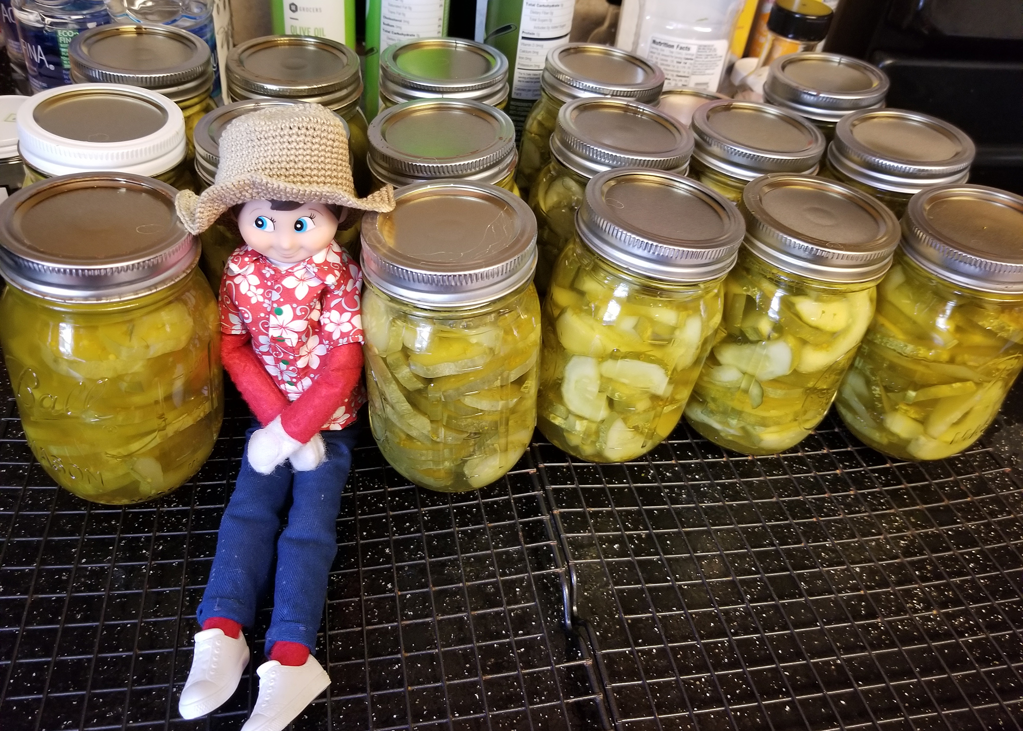 Use trellises to grow pickles to eat, share | The Panolian