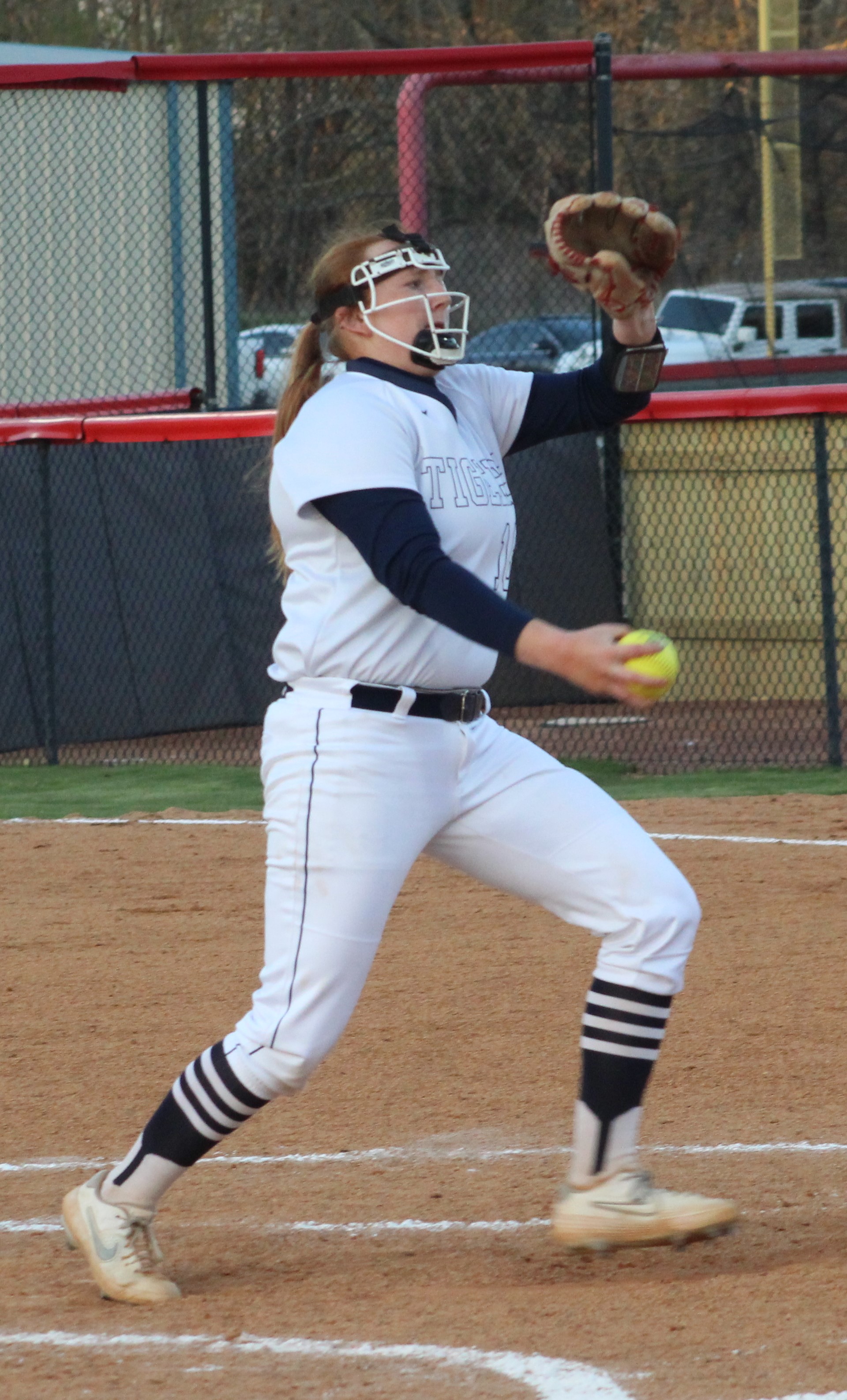 Lady Tigers 17-3; ranked No. 3 overall in state | The Panolian