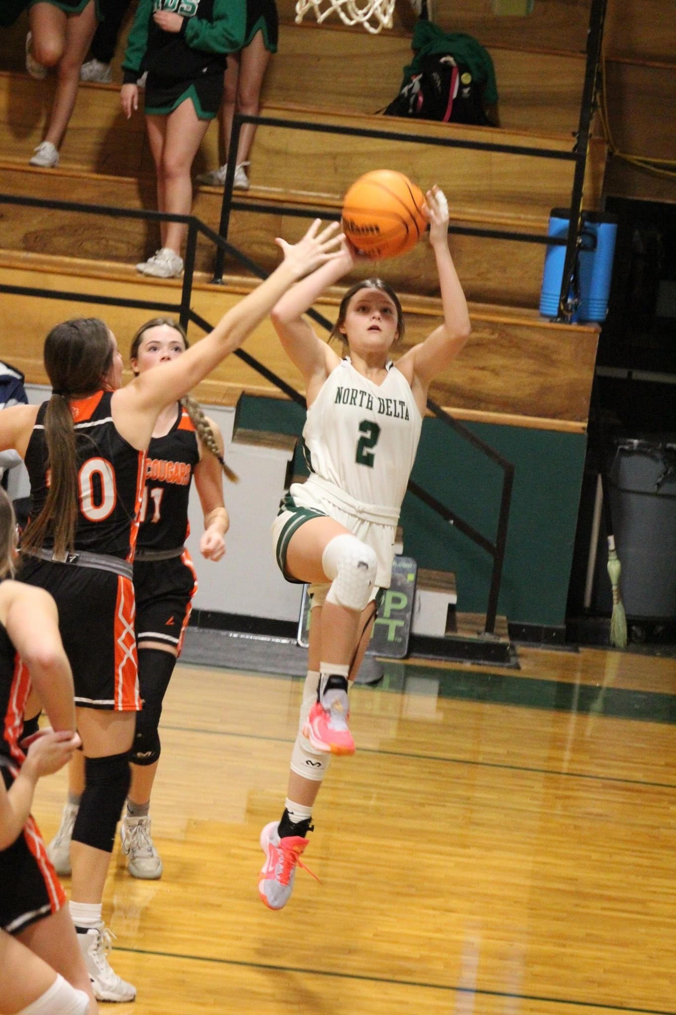 Green Wave Hoops | The Panolian