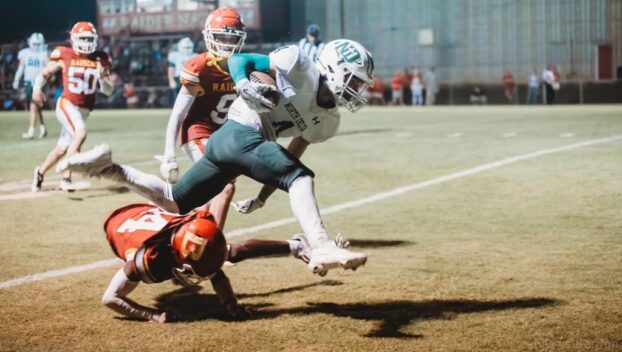 Sports | The Panolian